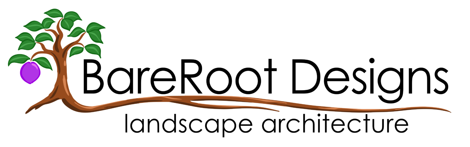 Asheville Landscape Design and Landscape Architecture